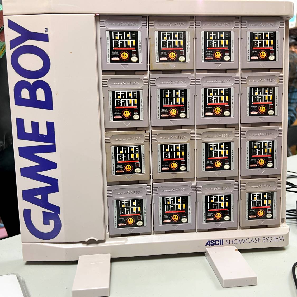 PRGE 2024 Faceball 2000